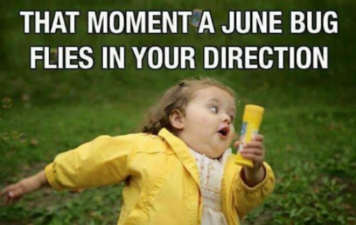 GraniteCityGossip.com Where everyone comes to find out what's going on ...